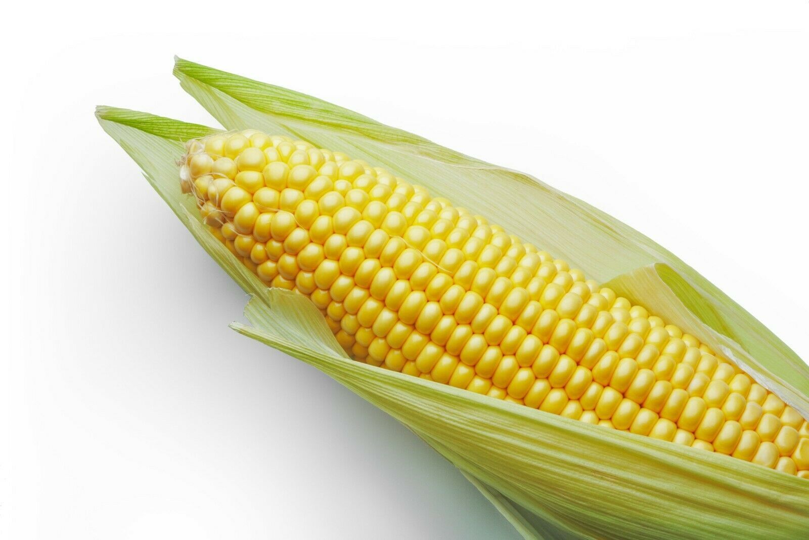 100+ Super Sweet yellow Corn Incredible seeds NON-GMO Open pollinated ...