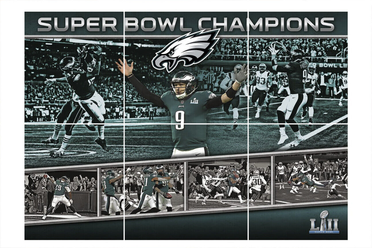 super bowl champions Philadelphia Eagles tile mural medallion ...