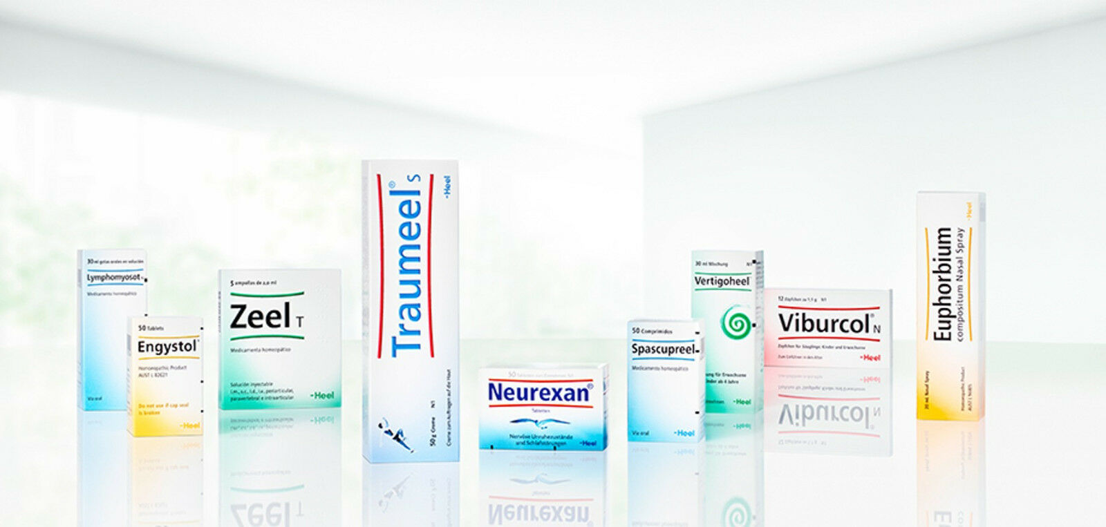 Heel Homeopathic Products / Detox Kit Traumeel Vertigoheel Zeel ...