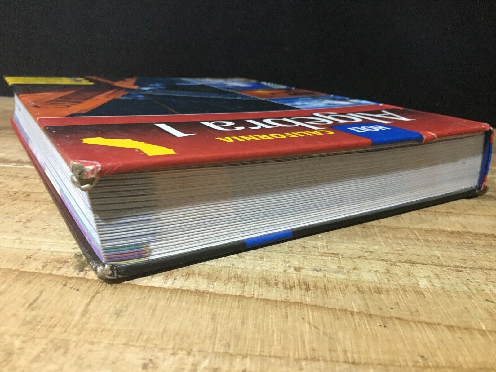 HOLT ALGEBRA 1 9th Grade 9 Math Selected Answers PRACTICE Homeschool 