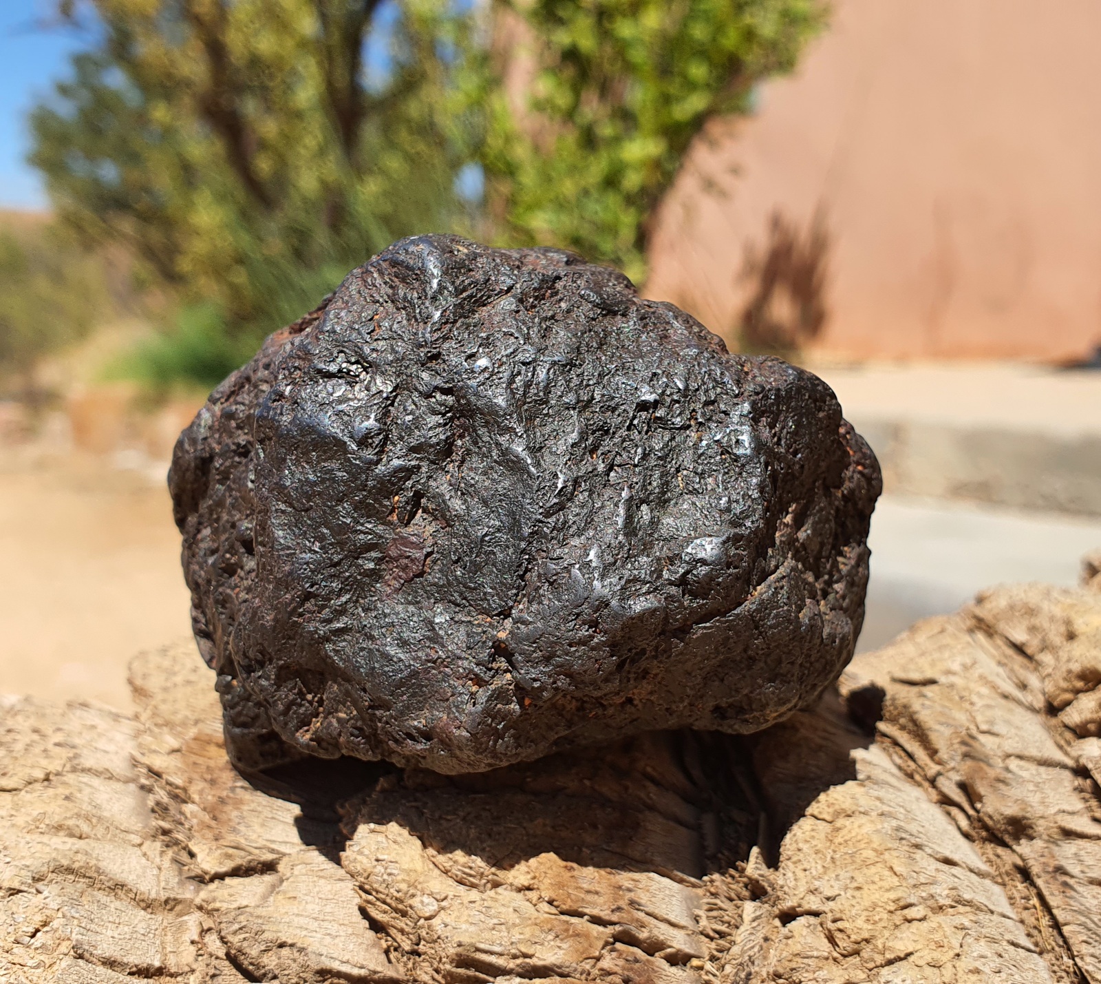 IRON METEORITE NWA 935g #A241 - Meteorites & Tektites