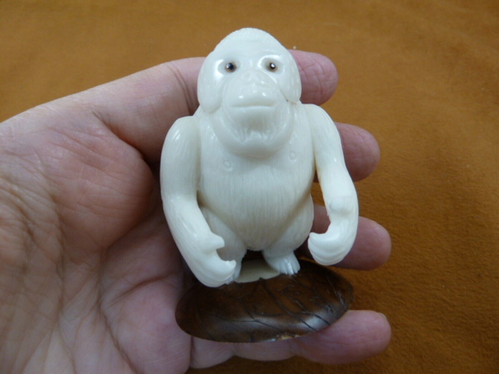 (tne-ape-or-313) white ORANGUTAN monkey ape TAGUA NUT palm nuts ...