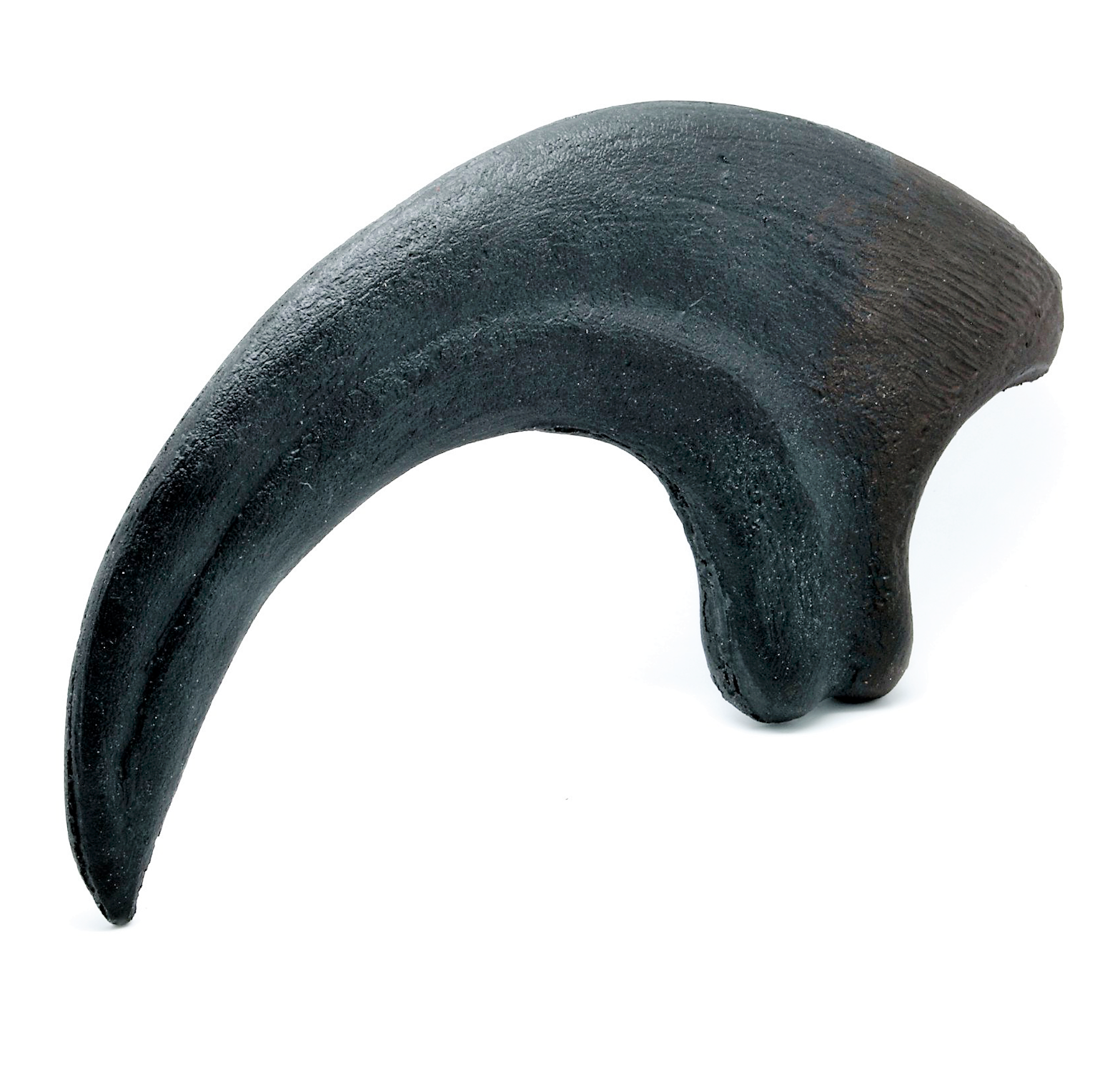 9 Inch Raptor Claw Replica Jurassic Dinosaur and similar items