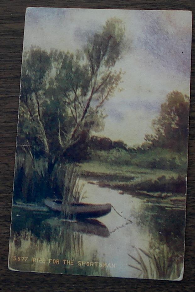 Vintage Color Tone Lithograph Postcard, Ripe For The Sportsman UNPOSTED ...