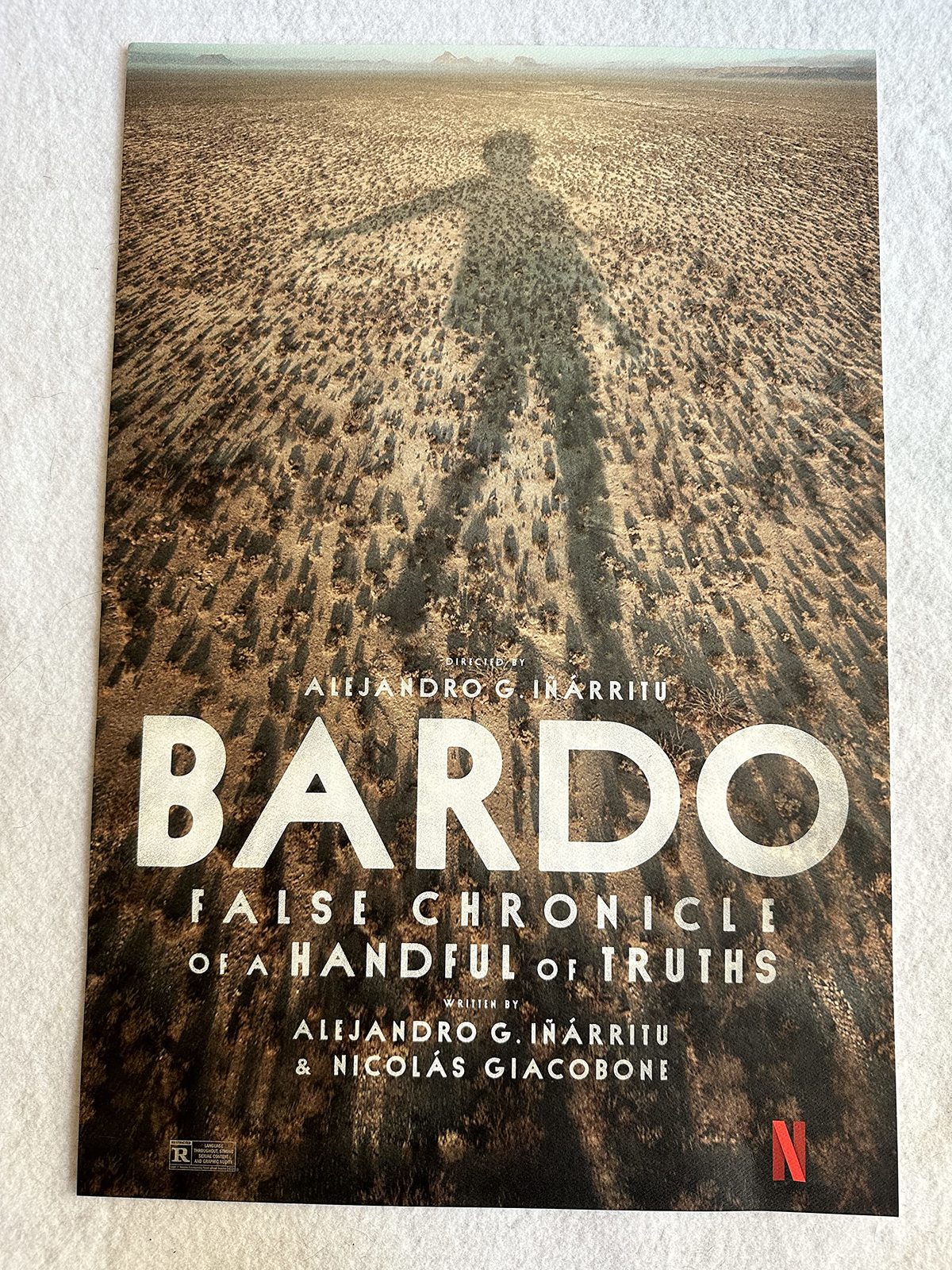 BARDO False Chronicle of a Handful of Truths 13"x20" Original Promo ...