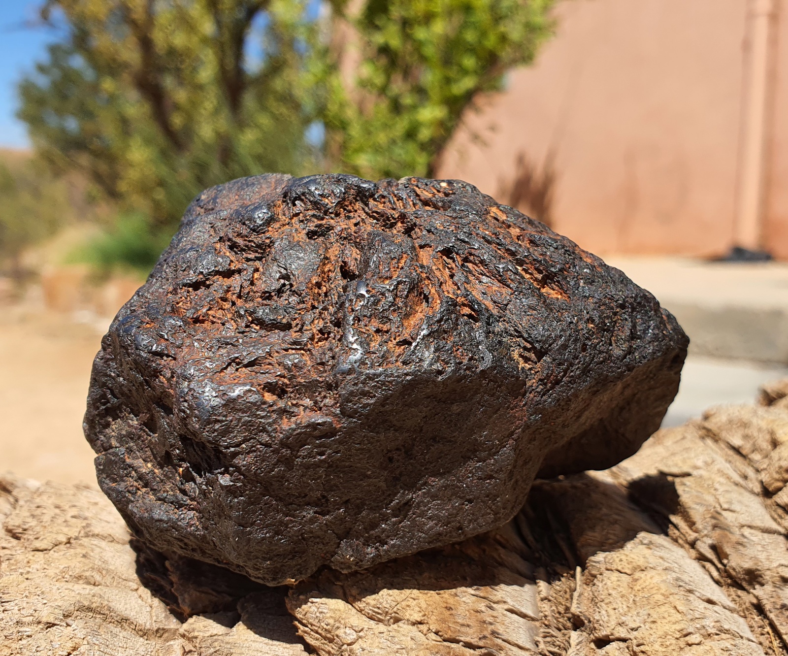 IRON METEORITE NWA 935g #A241 - Meteorites & Tektites
