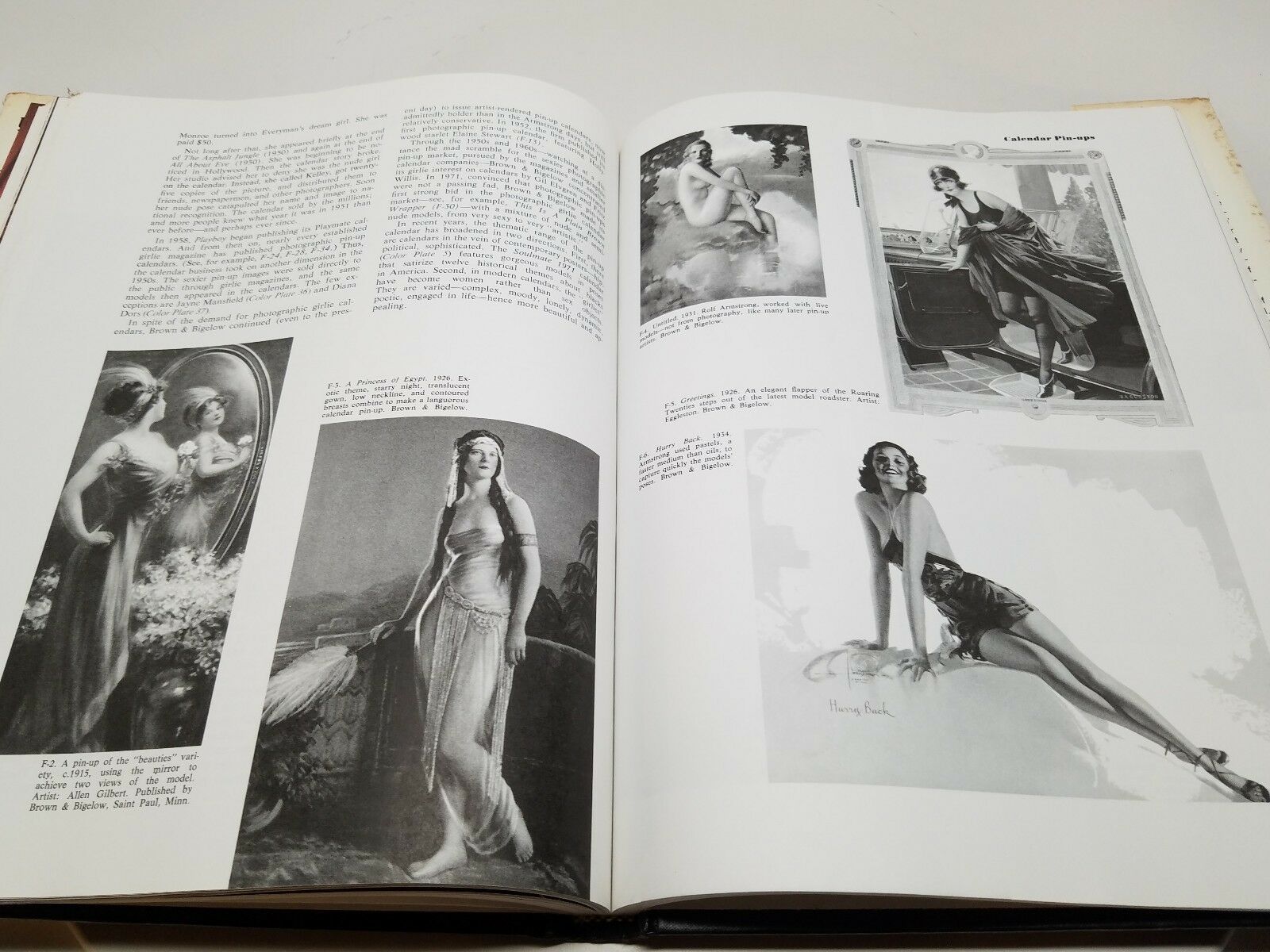 The Pin-up A Modest History by Mark Gabor Hardcover Book - Everything Else