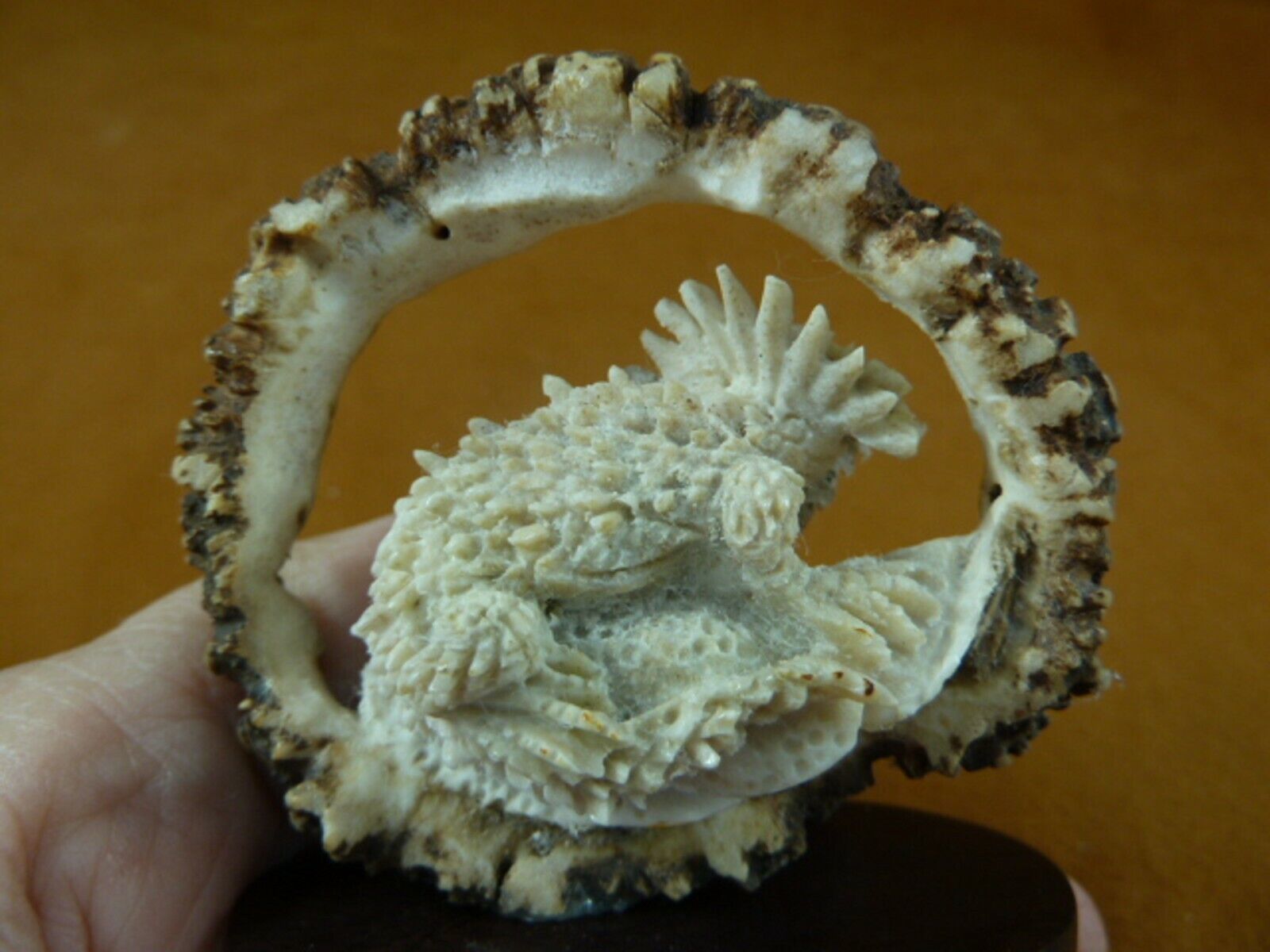 liz-13 baby Horned Lizard of shed ANTLER figurine Bali detailed carving ...