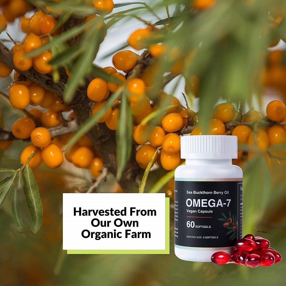 Sea Buckthorn Farm Omega 7 Complete Sea Buckthorn Oil Blend Pure Cold