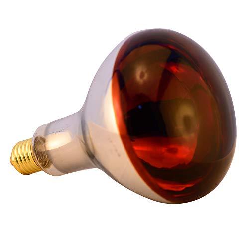BONGBADA R125-Painted 100W Explosion Proof Infrared Heat Lamp Light ...