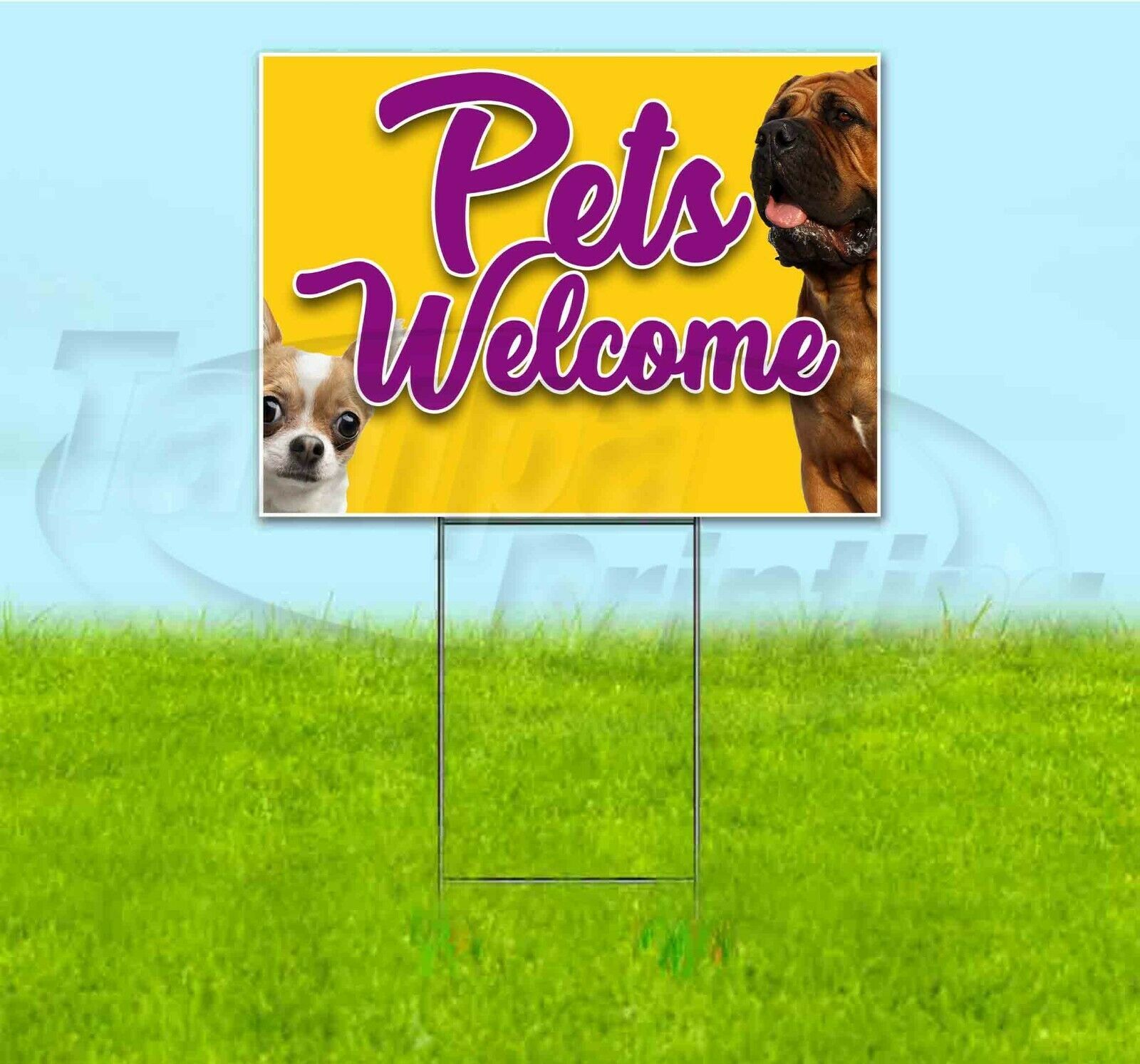 PET FRIENDLY 18x24 Yard Sign WITH STAKE Corrugated Bandit USA BUSINESS ...