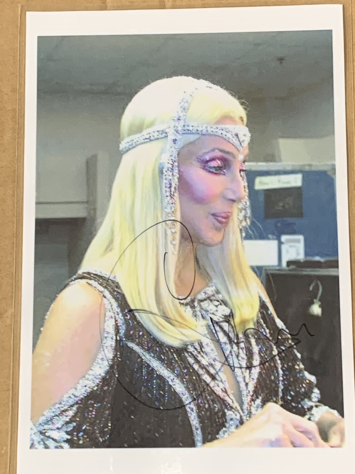 Cher Hand-Signed Autograph 15x20 With Lifetime Guarantee - Music