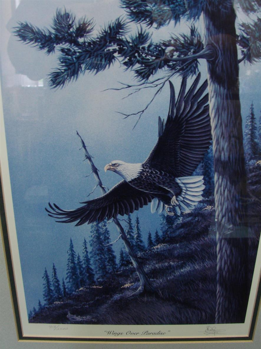 Framed, Signed, Numbered Dave Constantine Print “Wings Over Paradise ...