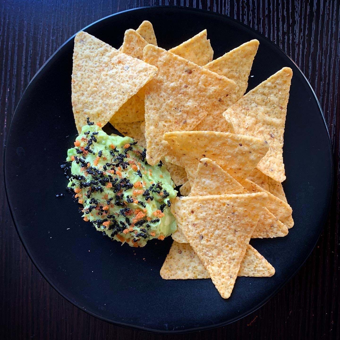 Culinary Quality Black Ants | Edible Insects | Bugs You Can Eat - Food & Beverages