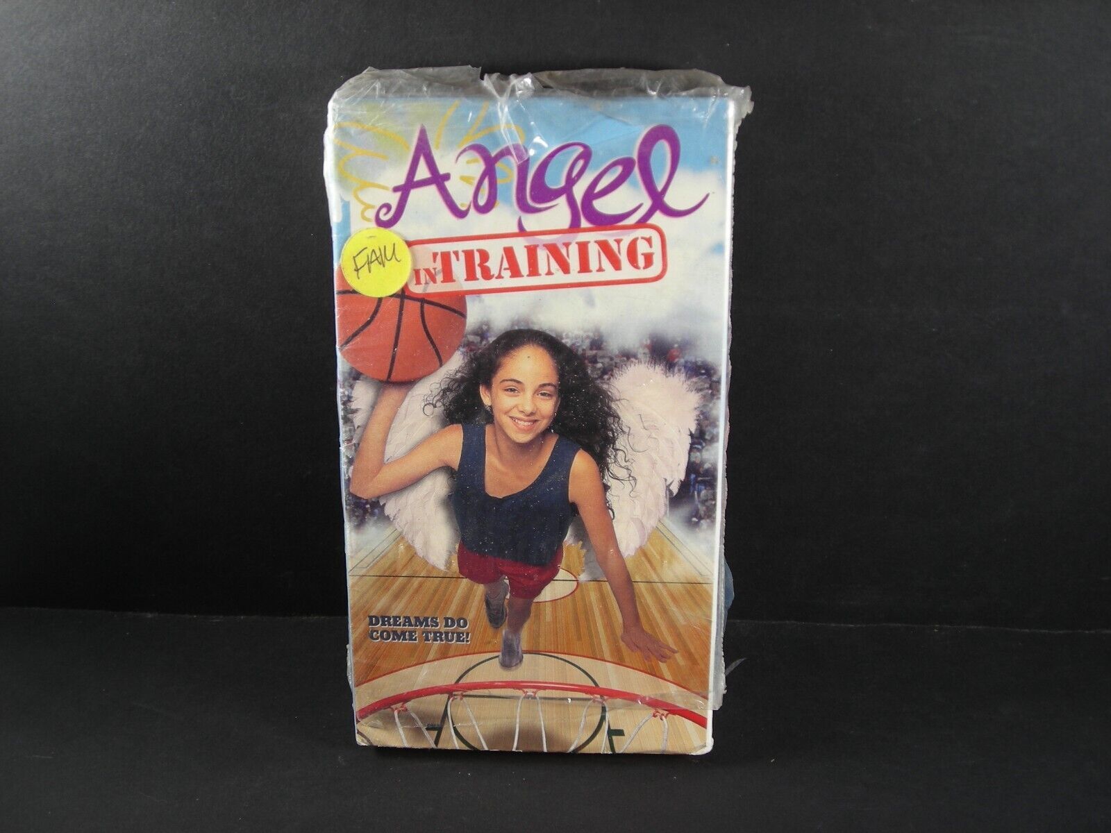 Angel In Training - VHS 1999 - Laila Dagher - Gary Imhoff - Alexis O ...