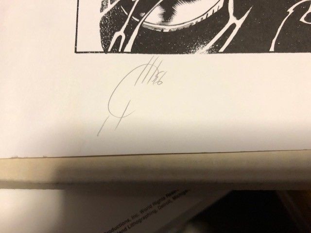 JOE QUESADA & JIMMY PALMIOTTI HAND SIGNED 15x10 Rare 19 x 14 499 of ...