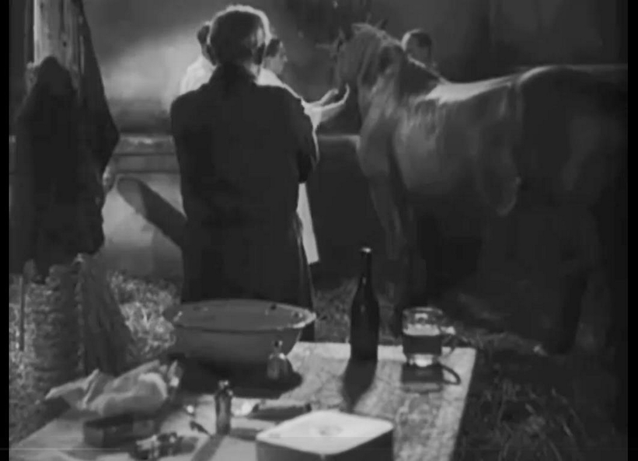 Ekstase DVD Film Silent Romantic Drama Hedy Lamarr Aribert Mog Zvonimir ...