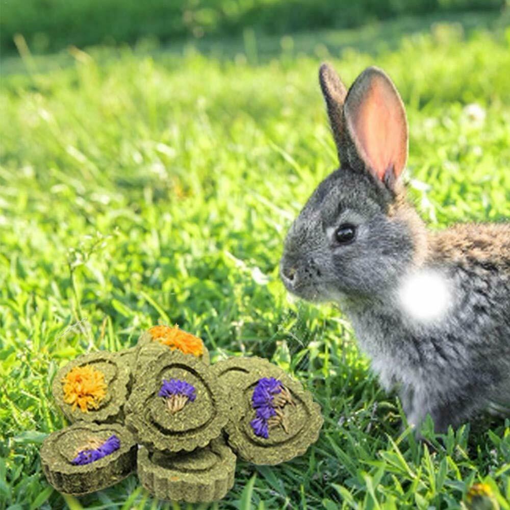 Rabbit Treats Chew Toys Timothy Hay Healthy Digestion 25 Pieces Natural ...