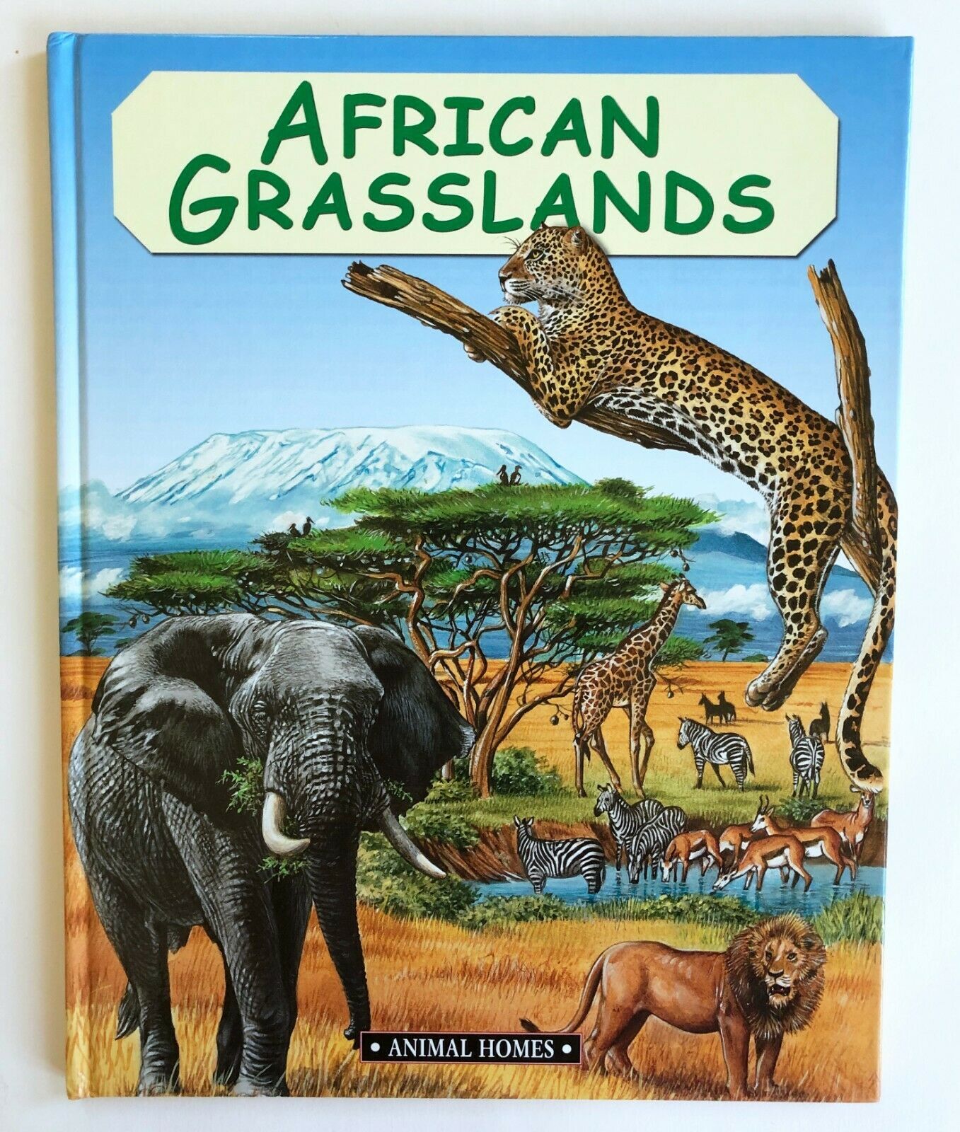 Set Of 4 Large Hardcover McGraw Hill Educational Books For Kids Animal set-of-4-large-hardcover-mcgraw-hill-educational-books-for-kids-animal