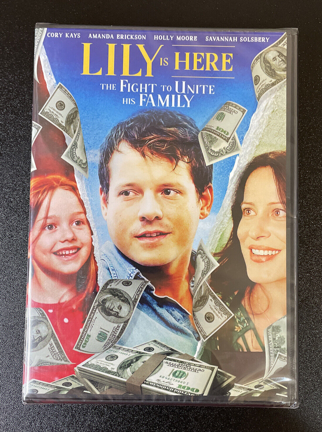 LILY IS HERE (DVD, 2017, WS) Cory Kays, Amanda Erickson, Holly Moore RARE NEW - DVDs & Blu-ray Discs