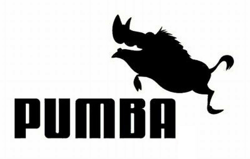 2x Pumba Logo Vinyl Decal Sticker Different colors & size for Car/Bikes ...