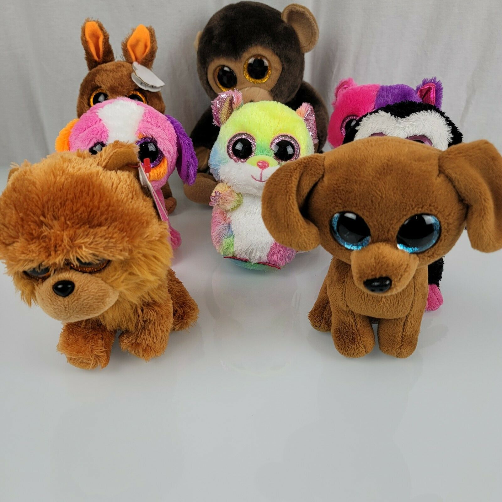 Ty Beanie Boos Set Lot of 7 Pellie Cat Precious Barley Dougie Dog ...