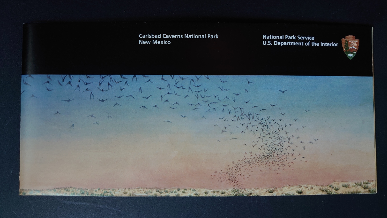 Official Nps Brochure Carlsbad Caverns National Park Information Map