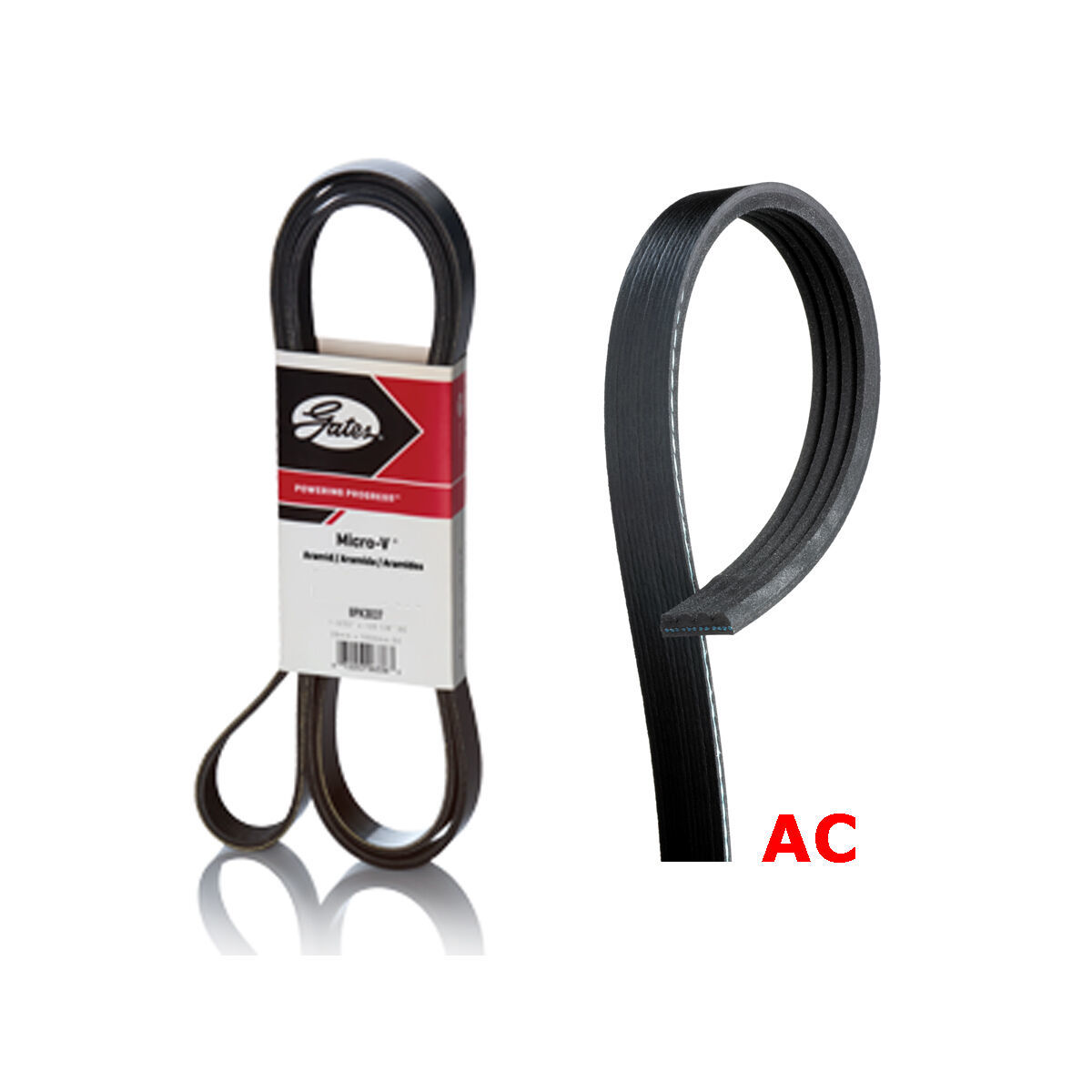 04-06 LS1 LS2 GTO 08-09 LS3 L76 G8 GT GXP A/C AC Compressor Drive Belt ...