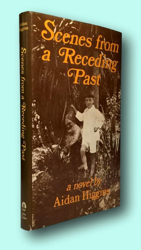 Rare Aidan Higgins / SCENES FROM A RECEDING PAST First Edition 1977 - Books